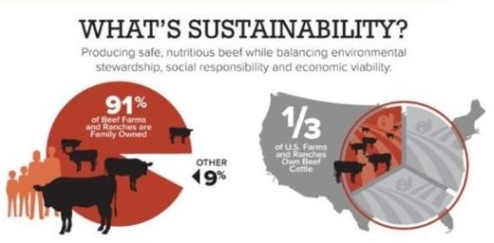 Beef Sustainability - 104 Cattle Company